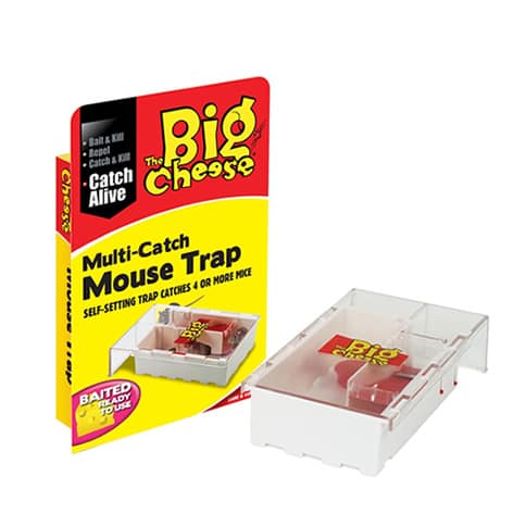 Live Multi-Catch Mouse Trap - Mango Moon