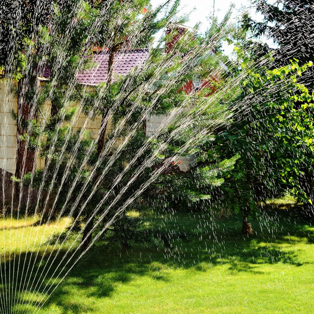 Garden Gro Sprinklers - Mango Moon