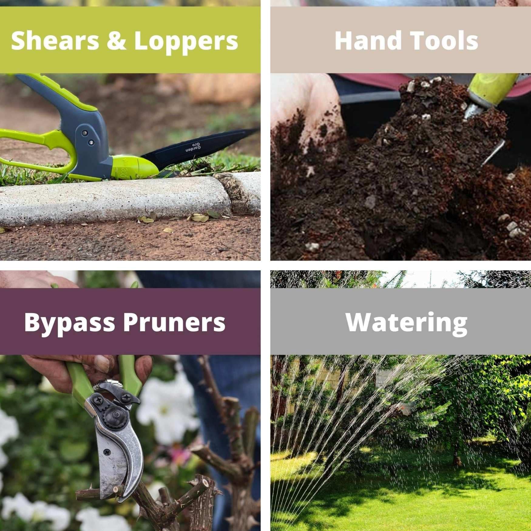 Promotional Material - Mango Moon